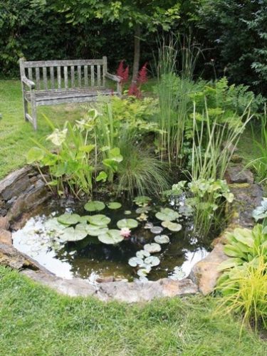 Idées de bassin de jardin pour dynamiser votre extérieur